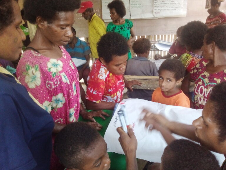 The Frieda River Project